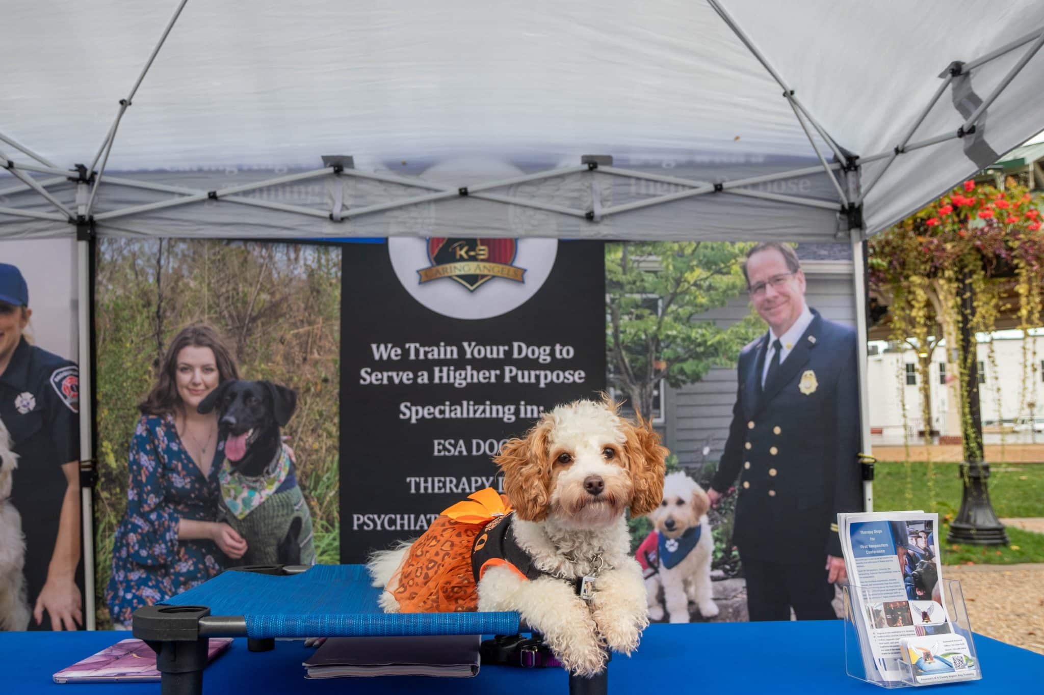 The 40th Manassas Fall Jubilee in Images - Historic Manassas, Inc